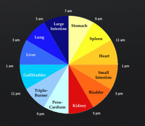iMRS Organ Clock and Programs - Pulsed ElectroMagnetic Field Singapore